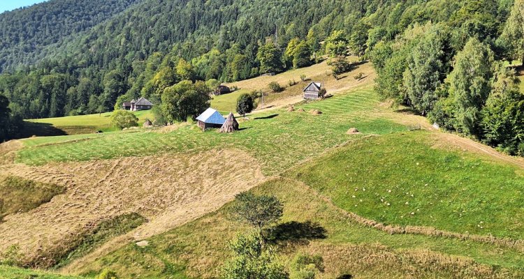 GreenFrontier project (2024-2029) – George Iordachescu